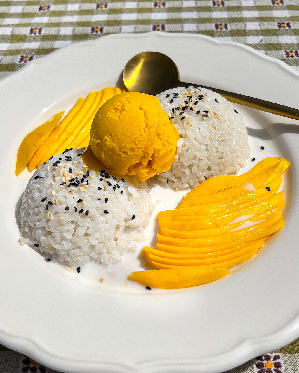 Mango Coconut Sticky Rice Dessert
